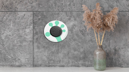 Handy Wandhalterung I Handyhalterung Popsockets popgrip I Influencer – GECKOPAD - Handyhalterung ...
